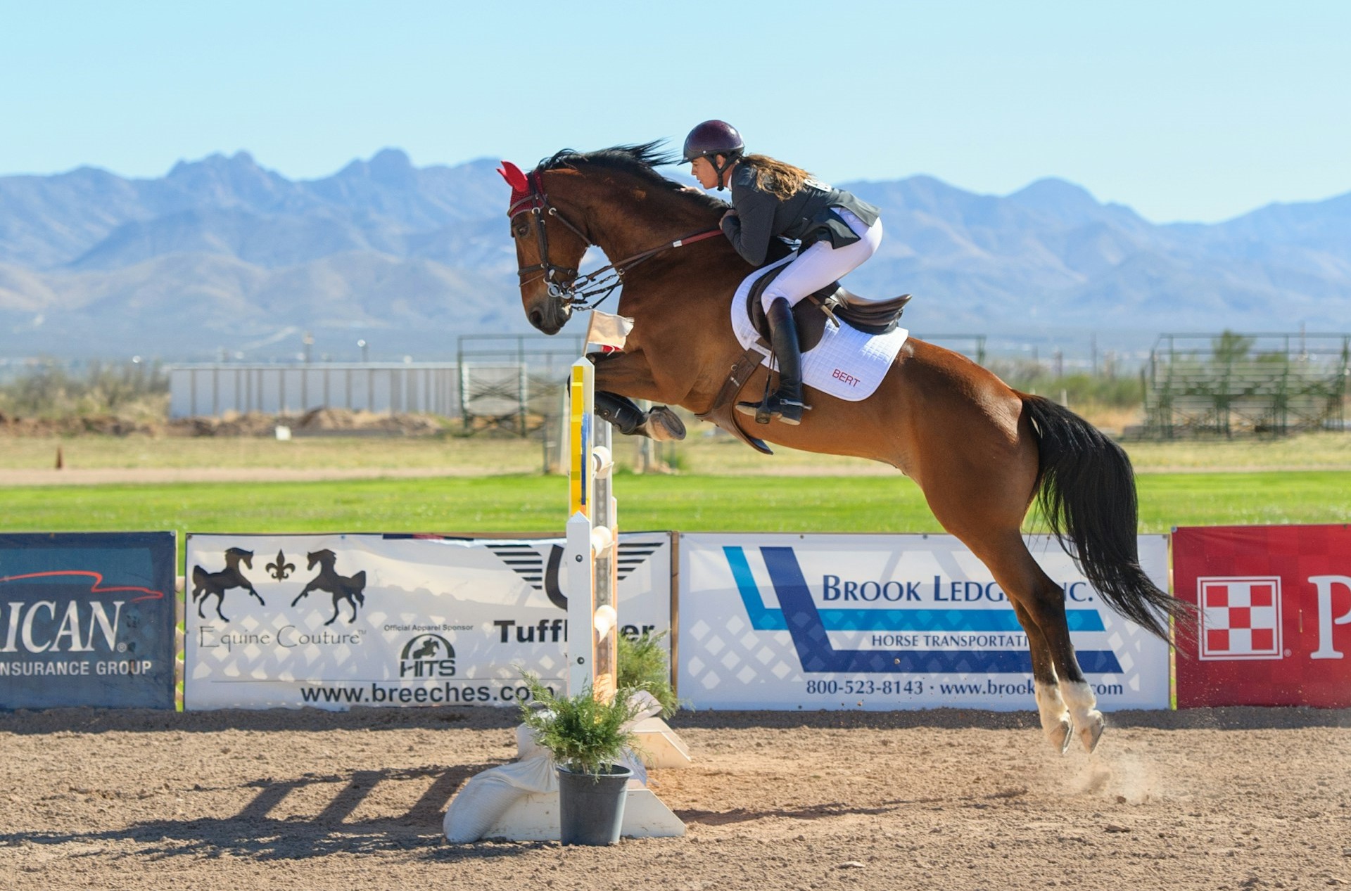 World Famous Sports Events to Add to Your Travel Itinerary